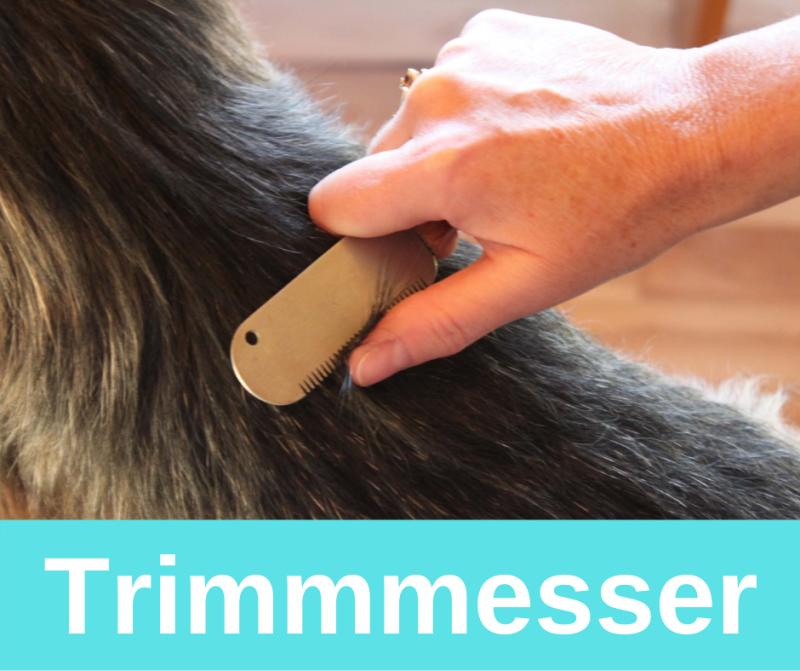 Trimmmesser › guter-Hund.de