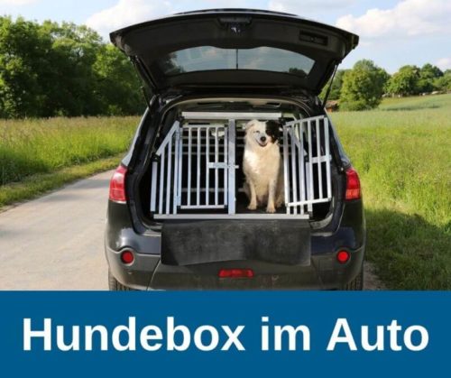 ᐅ Hundeboxen 2024 für dein Auto - Hundeboxen im Test › guter-Hund.de